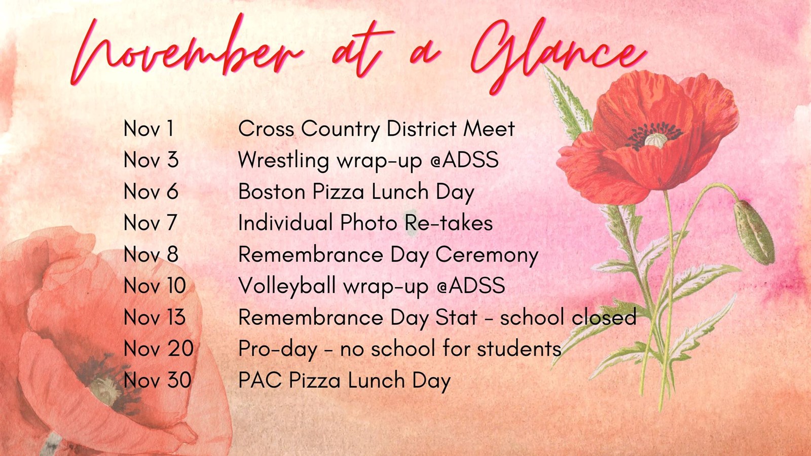 November at a glance!